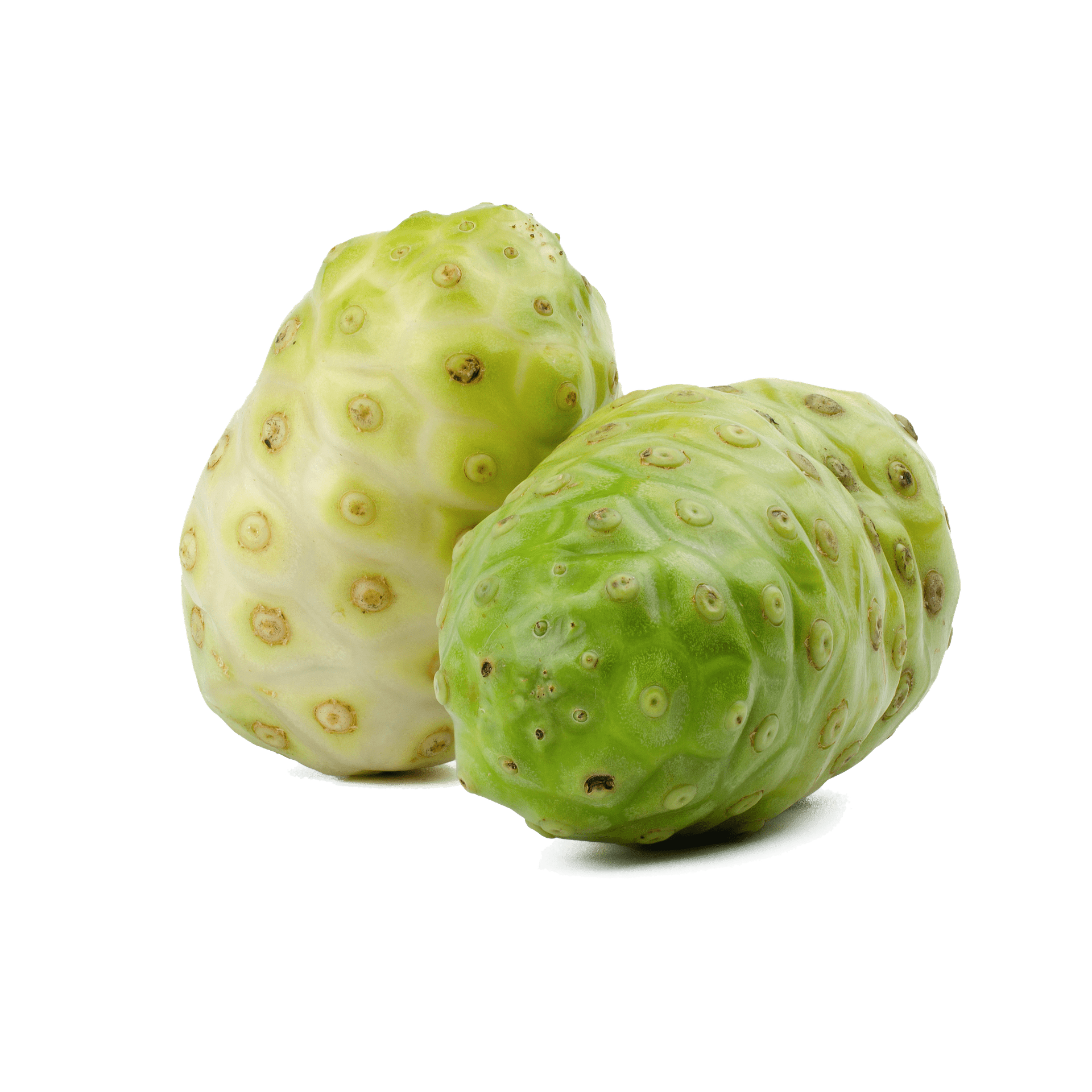 POL' NONI 100%-os tahiti noni gyümölcslé - Forever Life Products Kft.